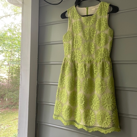 Ellison | Dresses | Ellison Green Embroidered Daisy Dress Small | Poshmark